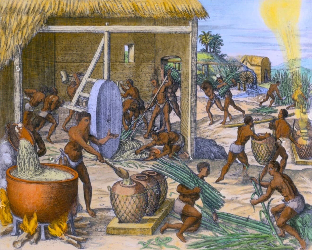 From sugar cane to rum: A fascinating cultural heritage 1