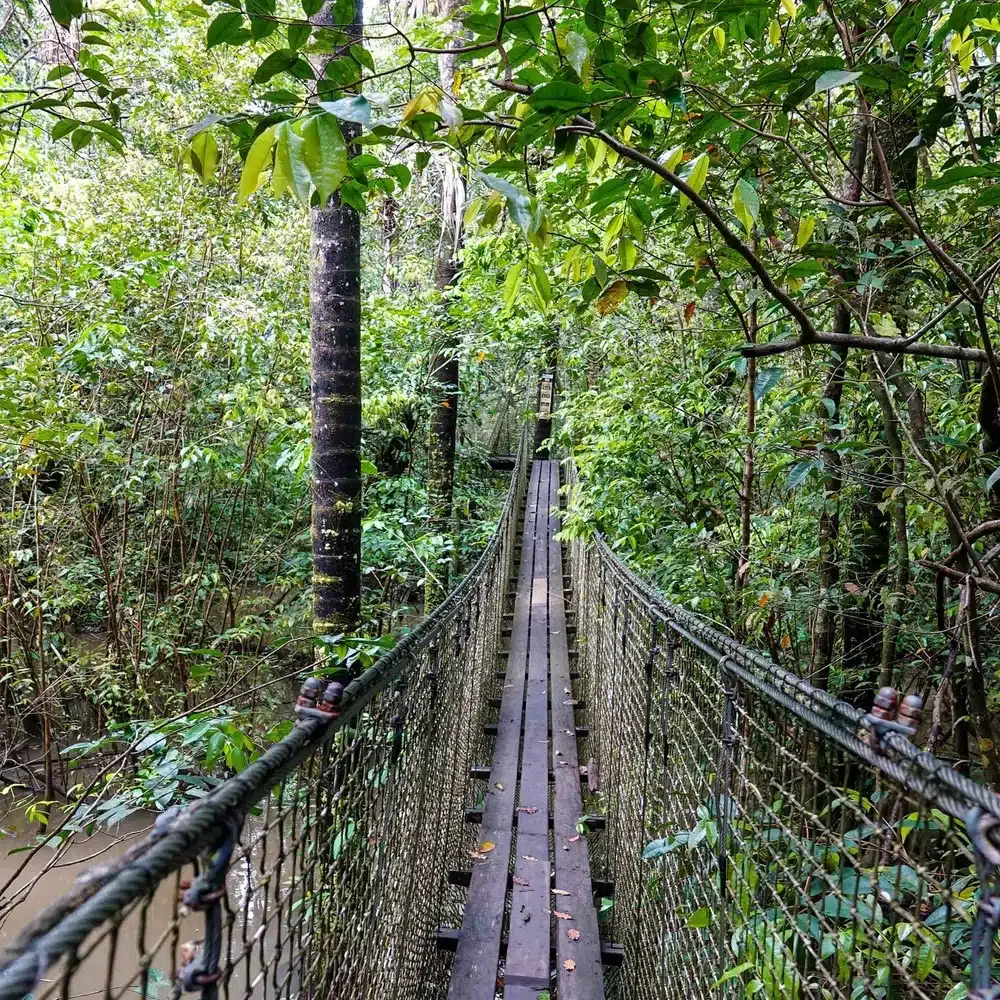 Zoo de Guayana: un santuario de la biodiversidad en el corazón de la ...