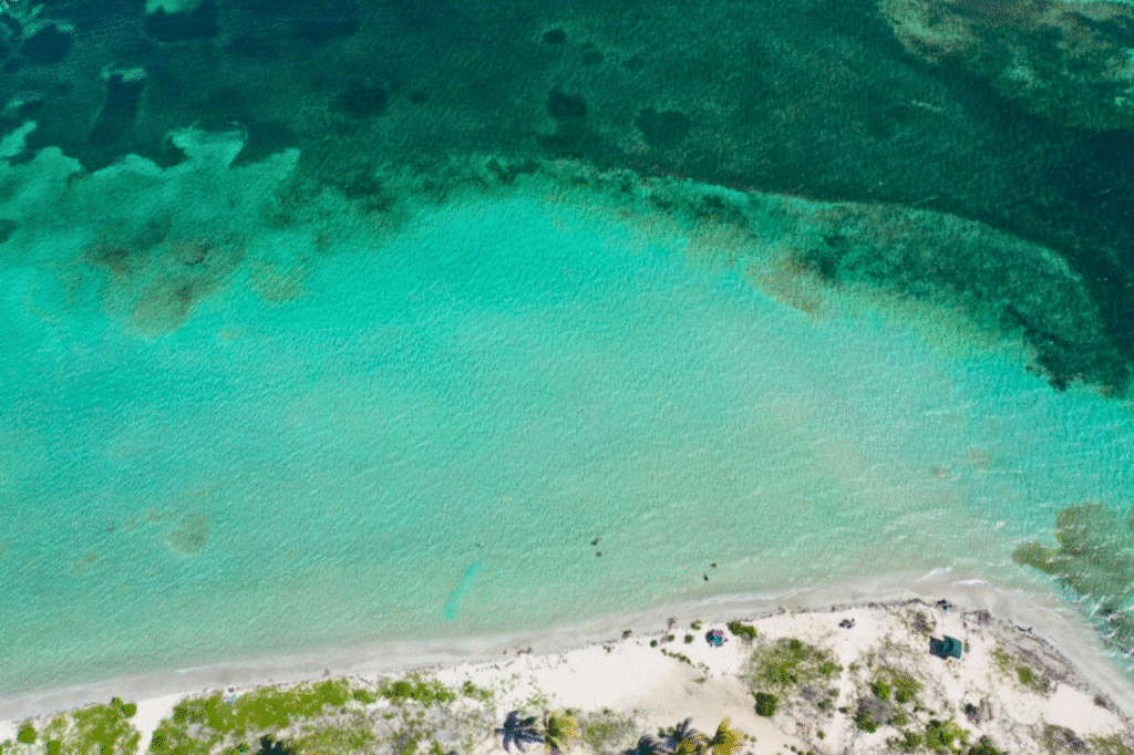 Vieques, the island of phosphorescent waters and free-roaming horses. ©2025