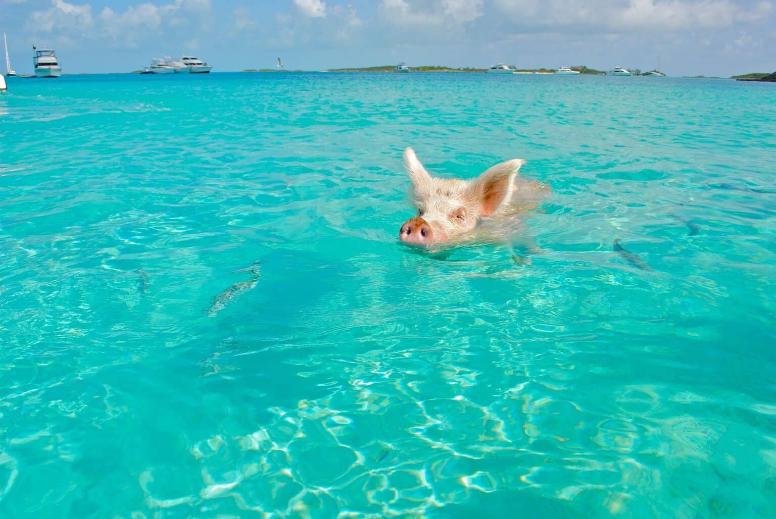 Exuma, a Bahamian archipelago shaped by sea and islets. RK 2026
