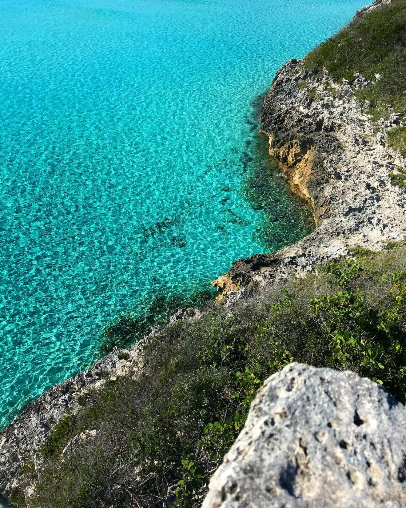 Blue Lagoon Island: a century of Bahamian history around the Watch ...